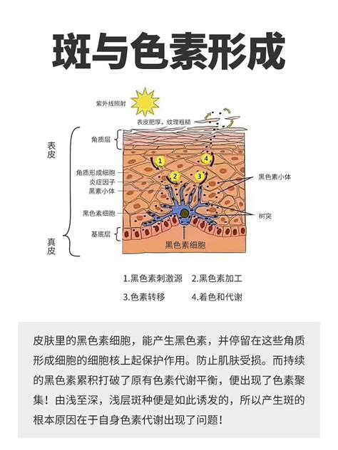 小红书海报 斑浅陌初心i 站酷zcool