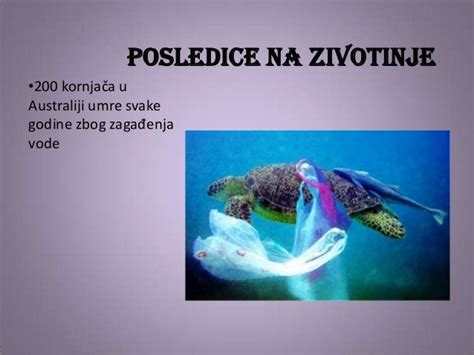 Zagađenje Vode
