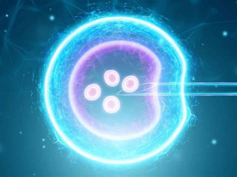 Understanding Male Infertility Symptoms Causes And Treatments