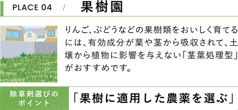 雑草対策 除草剤の選び方