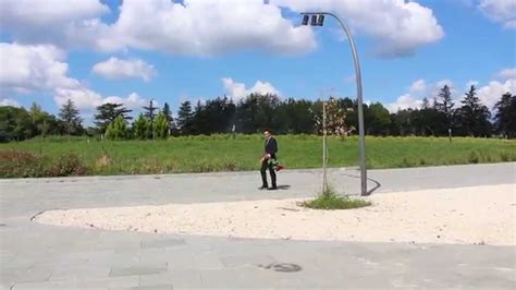 დაჩის და ანას ქორწილი Youtube