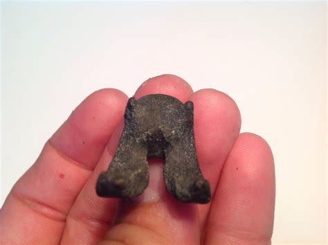 Help Id Strange Symmetrical Bone Fossil ID The Fossil Forum