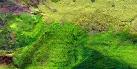 Premium Photo A Green Surface Of The Mars Surface Shows The Water And The Word Mars