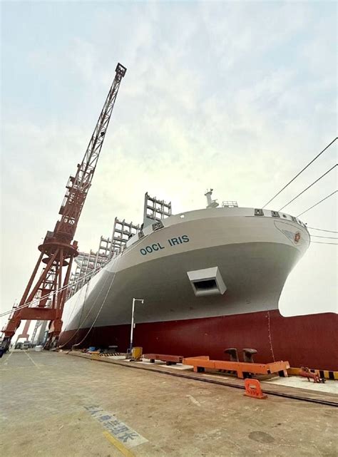 OOCL Uunveils Its Second 16 828 TEU Vessel OOCL Iris AJOT