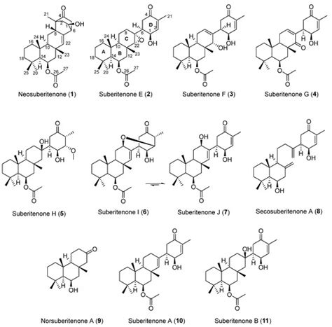 Neosuberitenone A New Sesterterpenoid Carbon Skeleton From The