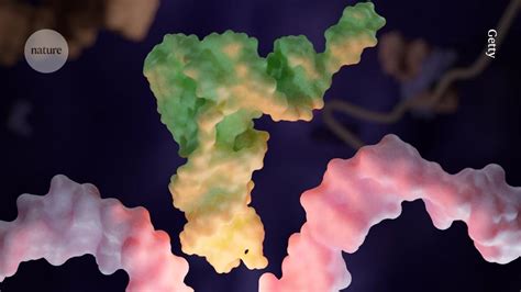 Rna Function Follows Form Why Is It So Hard To Predict Richard Divirgilio