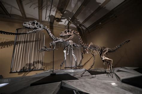 This List Of Scary Extinct Animals Is Beyond Spooky