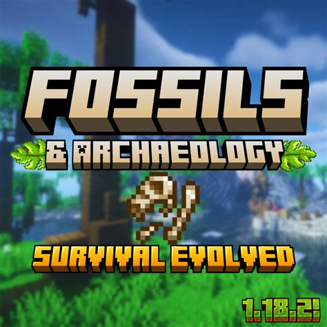 Fossils And Archaeology Survival Evolved