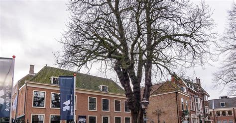 Kunstproject In Oud Rijswijk Ter Ere Van Tachtig Jaar Vrijheid