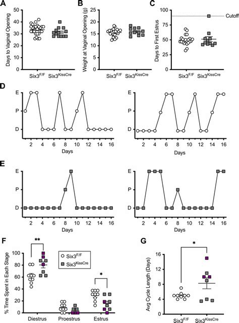 Loss Of Six3 From Kisspeptin Neurons Disrupts Estrous Cyclicity A