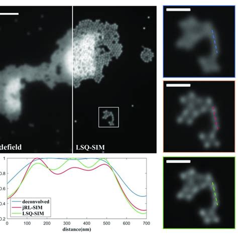 PDF Super Resolution Structured Illumination Microscopy
