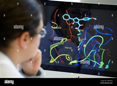 docking 3d computational model to simulate the molecular dynamics of