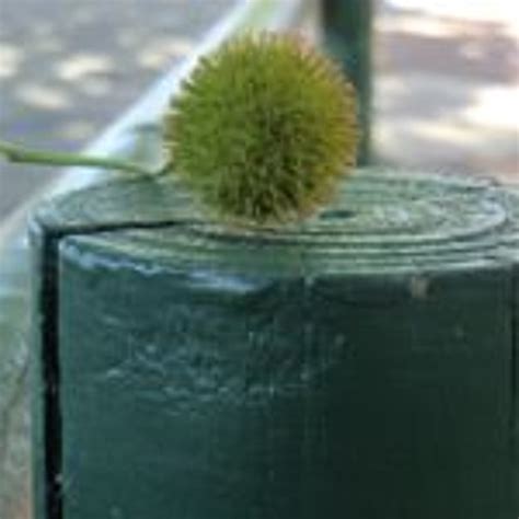 Stream Ming Kit Wong Music Listen To Songs Albums Playlists For Free On Soundcloud