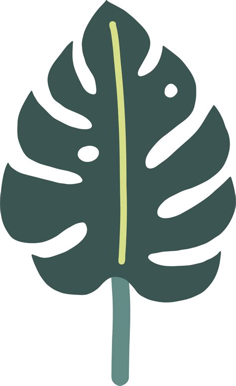 Free Boho Monstera Leaf Freehand Drawing Flat Design 13836217 Png With