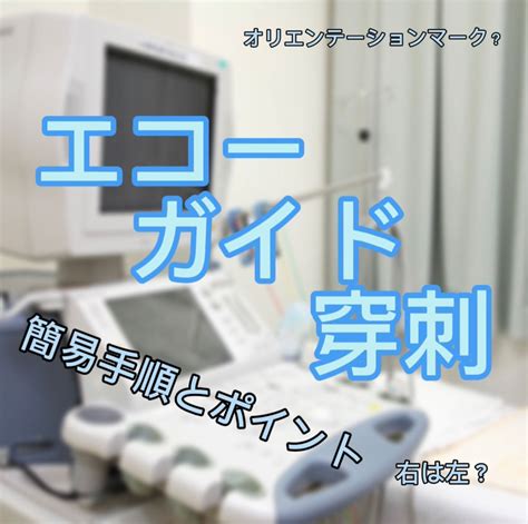 Dcb：drug Coated Balloon 薬剤コーティングバルーンとは？ カテっ子臨床工学技士