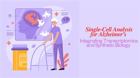 Single Cell Analysis For Alzheimers Integrating Transcriptomics And