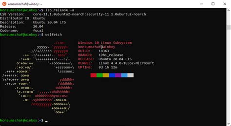 Ubuntu Mit Dem Windows Subsystem For Linux Wsl Auf Windows 10
