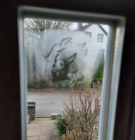 Sai🧊 Sai779 Twitter