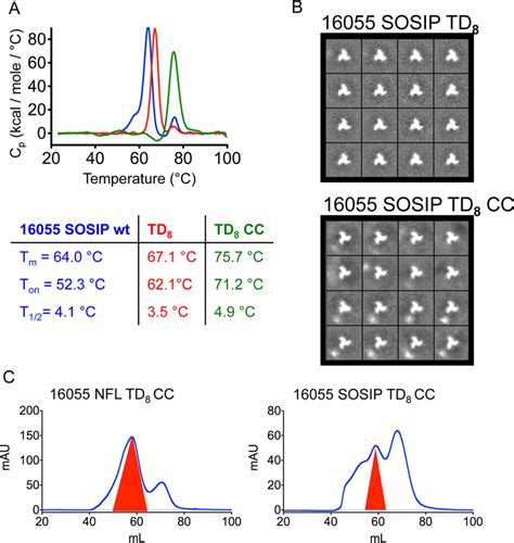 Biophysical Characterization Of Stabilized 16055 Sosip Trimer Variants
