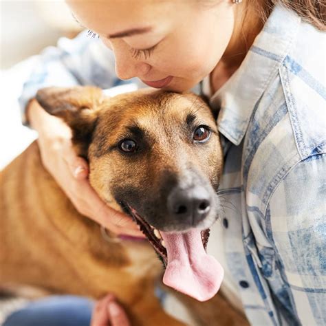 What Is The Life Expectancy Of Dogs With Cancer Huntersville