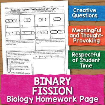 Prokaryotic Cell Division Binary Fission Biology Homework Worksheet