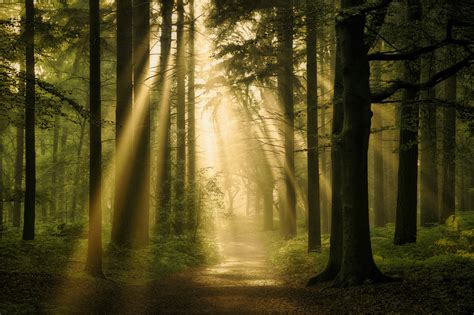 Lorien By Northstar76 On Deviantart