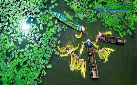 Kinh Nghiệm Tham Quan Khu Du Lịch Sinh Thái Gáo Giồng Mới Nhất 2023