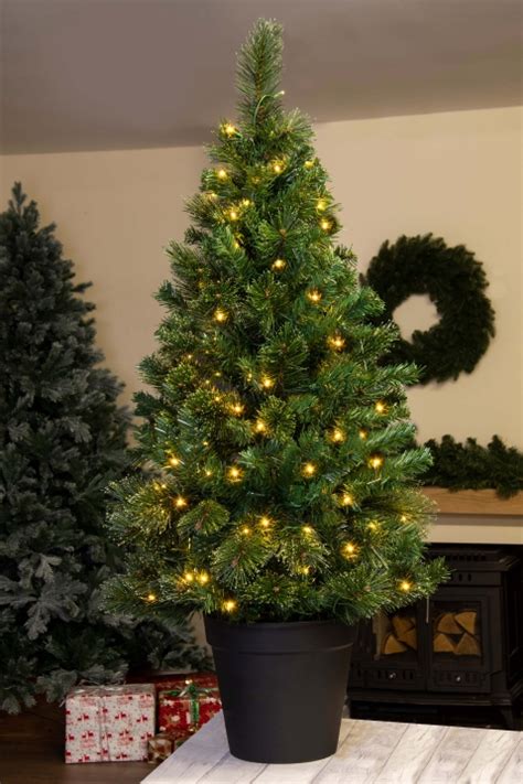 The Pre Lit Majestic Dew Pine Potted Tree 3ft To 4ft