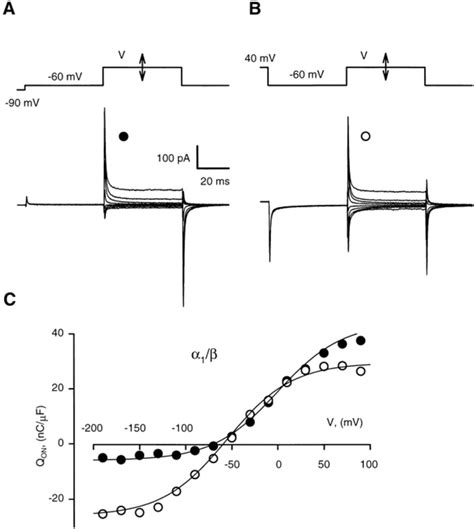Conditioning Depolarization Shifts To Negative Voltages Charge Transfer