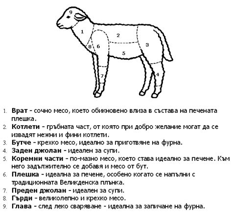 КУЛИНАРСТВО ЗА МЕСАТА