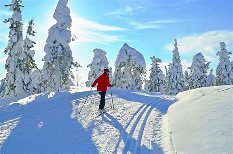 Yhdyslatu Metla-Paljakka 9 km, Paljakka Suomi • Murtomaahiihto ...