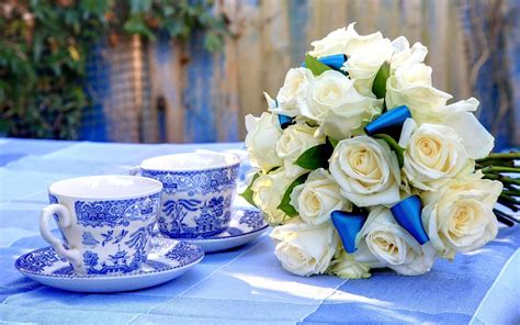 배경 화면 흰 장미 차 컵 1920x1200 그림 이미지