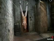 Allie Haze Nude Pornstar Search Results