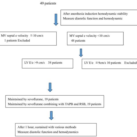 Tte And Tee Views Where Tapse Are Measured Download Scientific Diagram