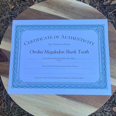 Fossil Shark Tooth Certificate Of Authenticity Etsy