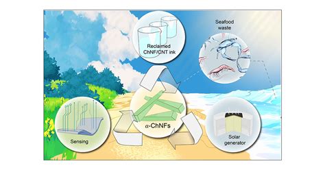 Chitin Nanofibers Enable The Colloidal Dispersion Of Carbon Nanomaterials In Aqueous Phase And