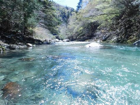 渓流に美しい魚を増やしませんか 岐阜県馬瀬川 川遊びマップ