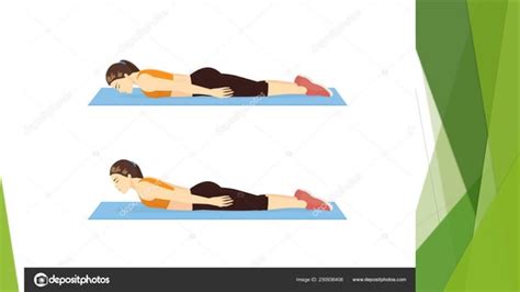 10 Flexibility Exercises And Yoga Poses Pptx