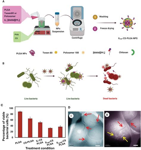 Ionic Liquid Il‐loaded Chitosan‐functionalized Nanoparticles Nps