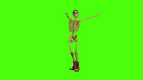 Skeleton Green Screen Stock Video Footage For Free Download