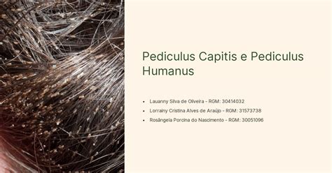 Pediculus Capitis E Pediculus Humanus