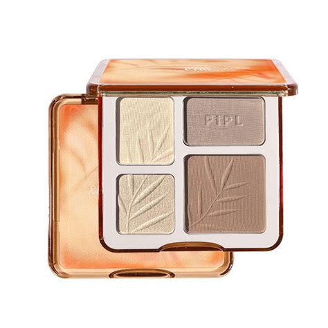 02 Light And Shadow Palette Pipl Floating Light And Shadow Contouring Palette Comprehensive Face