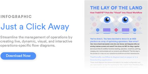 Infographic Visual Workflow Newsletter Parsec Automation LLC