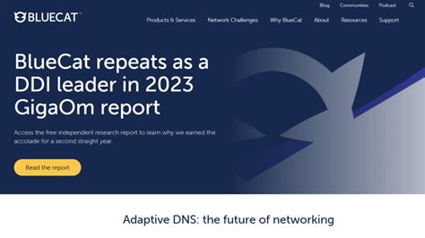 10 Best Dns Management Tools 2025