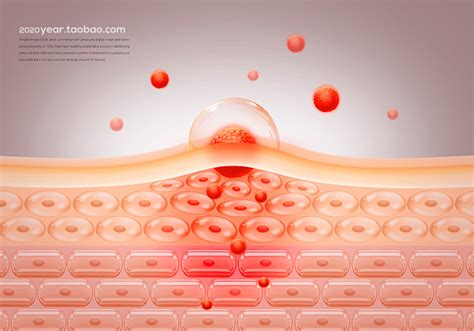 美容医美皮肤细胞组织结构手绘psd分层： Miqiok3980采集 花瓣平面