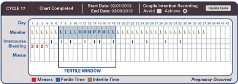 Pregnancy Cycle With Correct Use Intercourse Pattern On High And