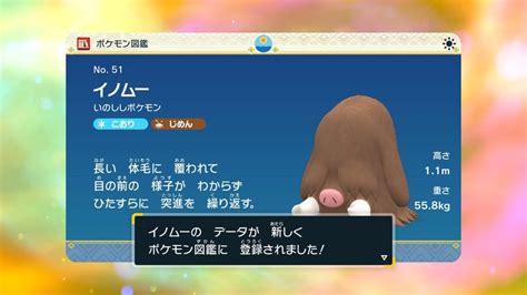 イノムーとマンムー｜marukogenote