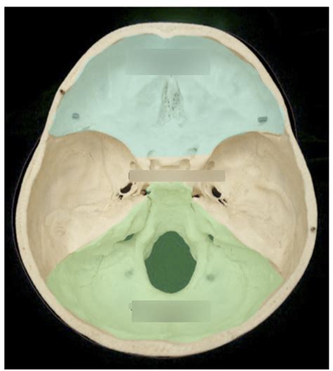 Diagram Of Cranial Fossa Quizlet