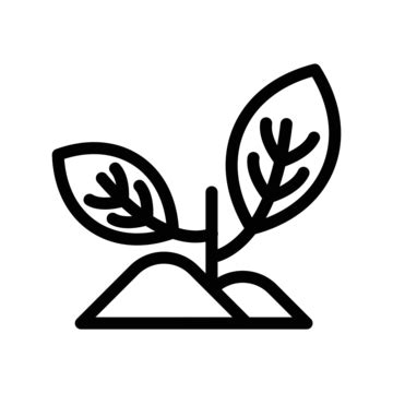 Tree Plantation Background PNG Transparent Images Free Download Vector Files Pngtree