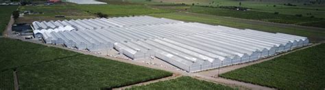 Greenhouse Construction Costs Planning A Project